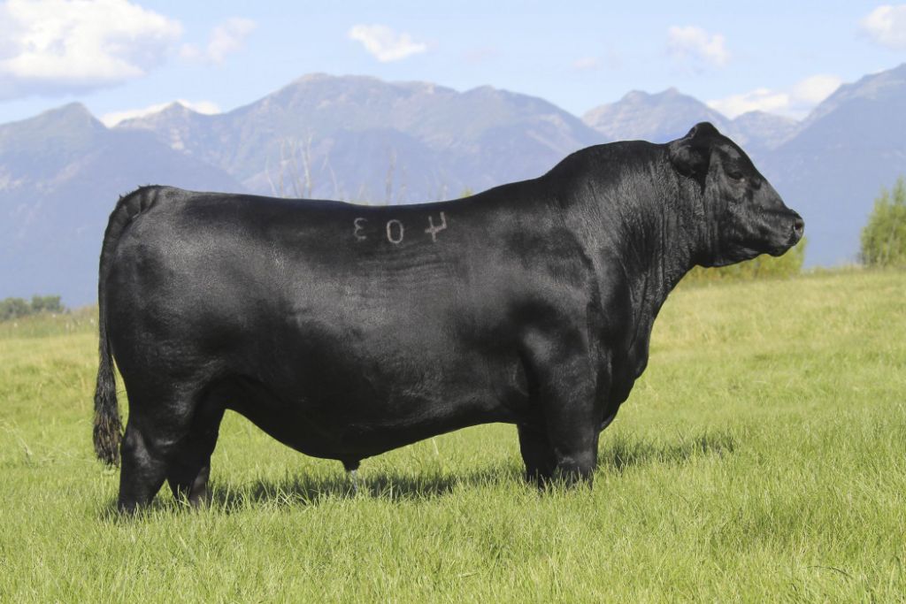 VENTURE - Selecta Uruguay